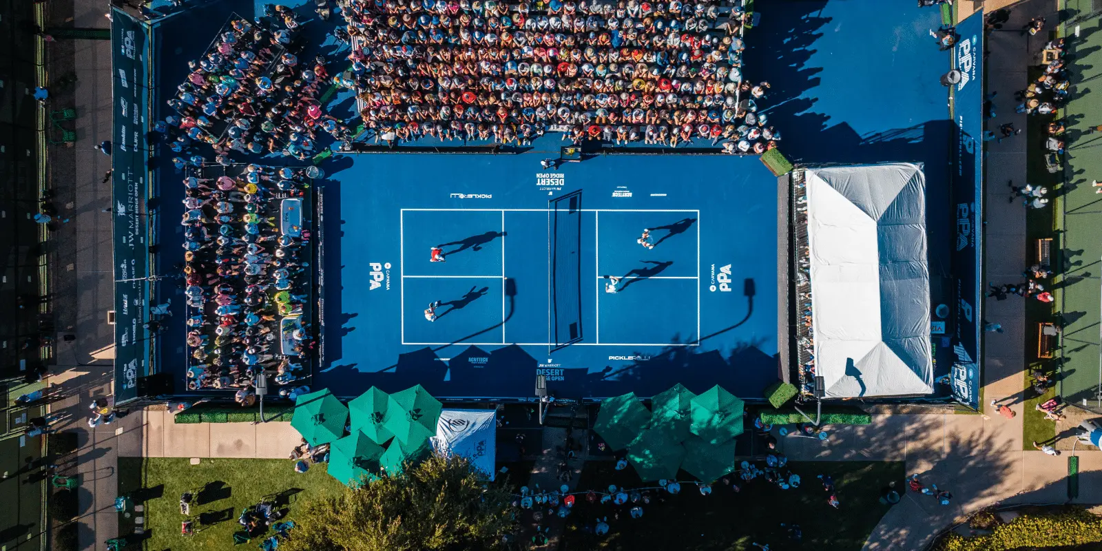 APP vs PPA Tour: Complete Pickleball Tour Comparison | Matt's Pickleball